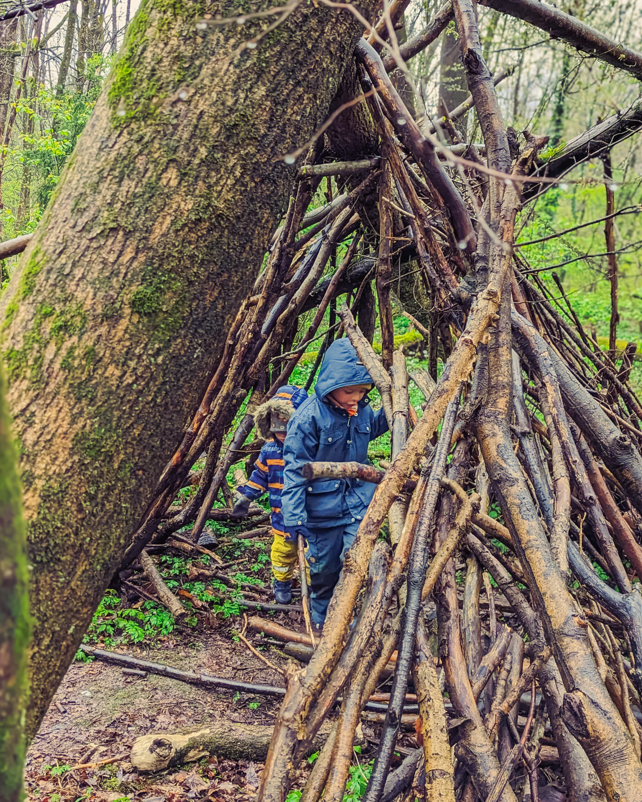 Abenteuer Wald Tipps Und Spielideen рџњі Kids Adventure More